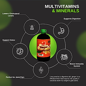 Herboganic Ginger Living Bitters | All Natural Living Bitters | 16 oz