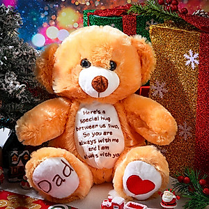 Sympathy Bears for Boys and Girls Loss of Dad, Memorial Stuffed Animal for Loss of Dad Boys and Girls Sympathy Gift for Grieving Bear Plush Toy for Condolences Memorial Loss of Loved