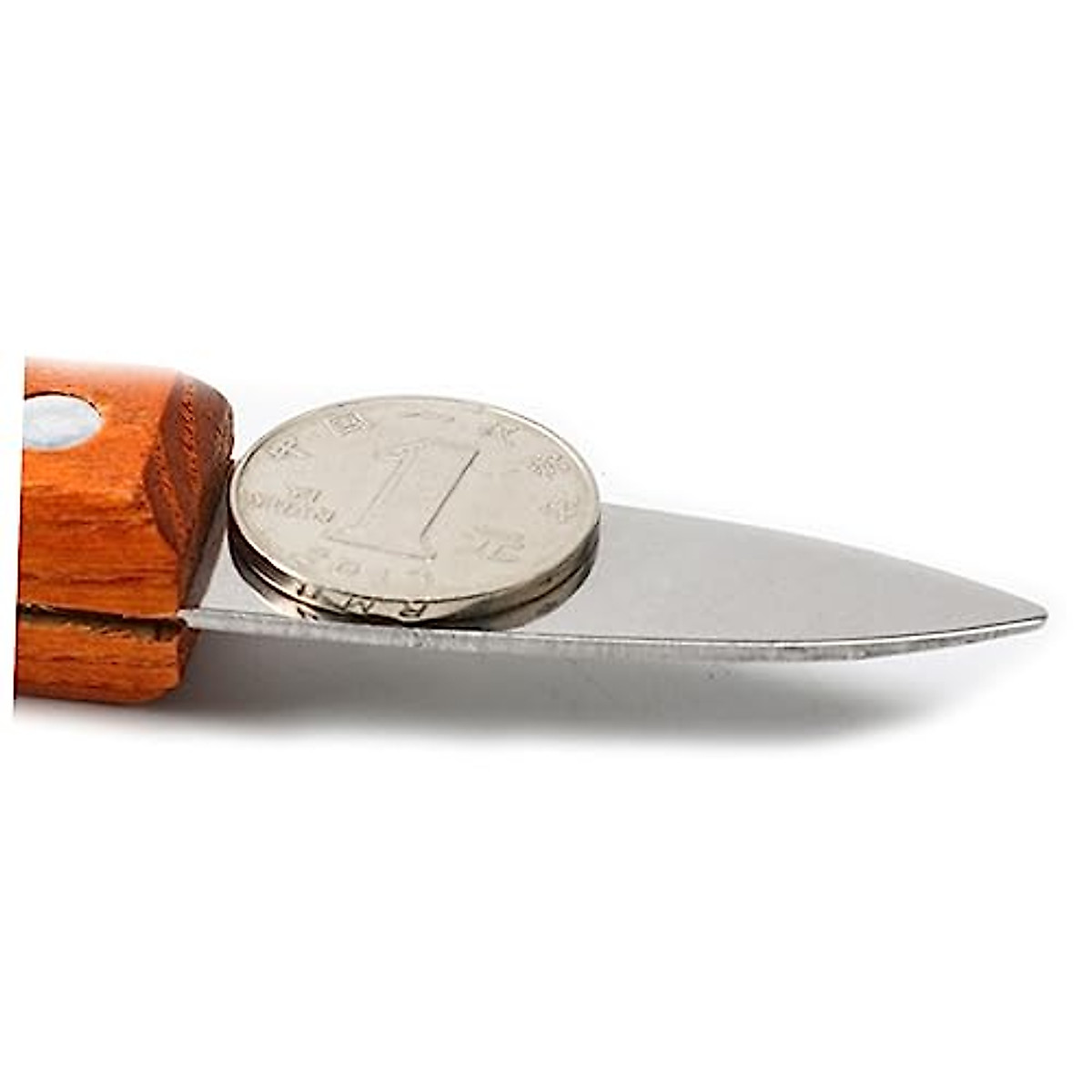 Seafood Tools Seafood Tools Open Shell Tool Oyster Shucker Clam Shucking Tools Shell Cutter Stainless Steel Kitchen Knife Seafood Shucking Tools Oyster Shucking Tools
