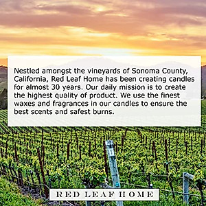 Red Leaf Home Provence Lavender Candle - Naturals Collection, Large - 15.5 Ounce Jar