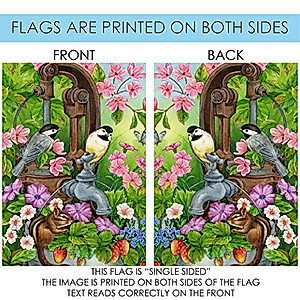 Toland Home Garden 112564 Watering Time Spring Flag 12x18 Inch Double Sided Spring Garden Flag for Outdoor House Flower Flag Yard Decoration
