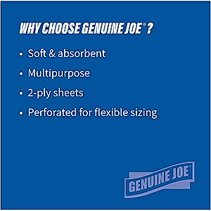 Genuine Joe-GJO24080 2-Ply Household Roll Paper Towels (Pack of 30) - WHITE