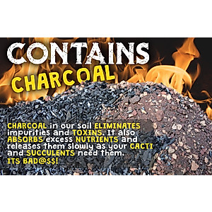 High Drainage Cactus Soil Potting Mix with Mycorrhizal Fungi - 8 Pounds / 4 Quarts of Soil for Succulents and Cactus - Slightly Acidic, Gritty Soil for Healthy Indoor Plants - Spike & Bloom