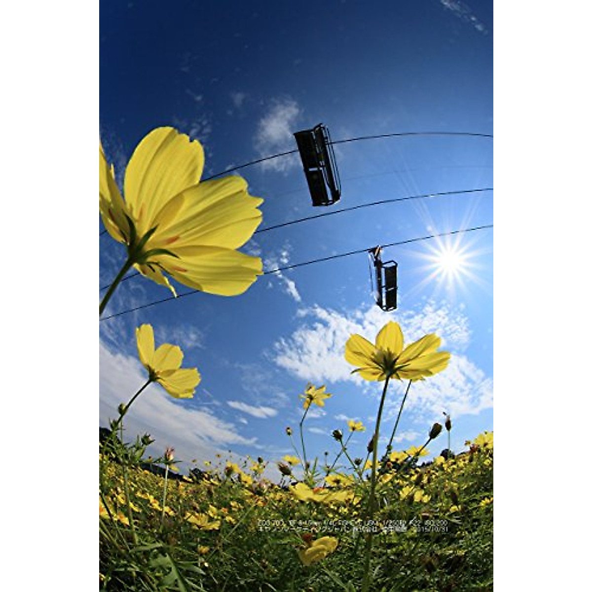 Canon DSLR Camera EOS Kiss X7i with EF-S18-135mm IS STM - International Version (No Warranty)