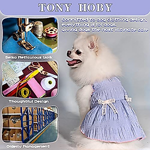 TONY HOBY Dog Dress, Dog Summer Dress, Dog Princess Dress Pleated with Bow-Knot, Soft Dog Tutu Outdoor Dress for Small Medium Dog (Blue, XS)