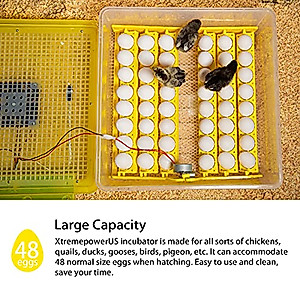 XtremepowerUS 97056-1 48 Digital Incubator with Fully Automatic Turning and Humidity Control 80W Clear Hatching for Chicken Duck Eggs, Yellow