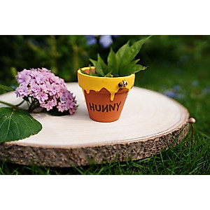 Spelable 6 Pack Honey Pot, for Cupcake, Party Favor, Planter, Party Favor for Baby Shower 1st Birthday Party Decoration Hunny Pot