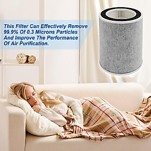 HP202 True HEPA Replacement Filter Compatible with Shark Air Purifier HP201, HP202, UA205, AP1000 and 3-in-1