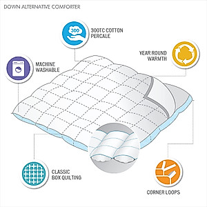 Madison Park Cotton Comforter, 300 Thread Count Cotton Comforter, Box Quilting, Soft, Breathable, Lightweight All Seasons Down Alternative Bedding with Corner Loops, Winfield, King/Cal King, White