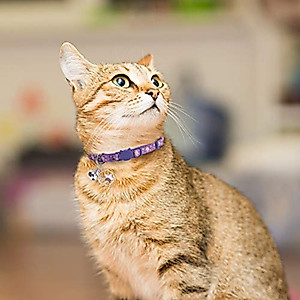 Breakaway Cat Collar with Bells - 3 Pack Charming Luminous Safe Adjustable Moon Pattern Kitten Collar Personalized with Star Pendant, Glow in The Dark