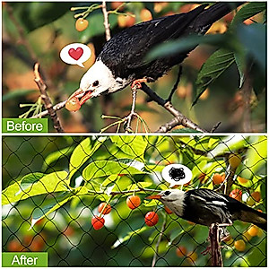 25' X 50' Net Netting for Bird Poultry Aviary Game Pens New 1" Square Mesh Size (25' x 50'-1'')