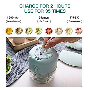 KONBANZE 2-CUP Electric Portable Mini Garlic Onion Chopper Crusher Small Food Processor Mini Food Processor Masher USB Charging Food Vegetable Cutter Kitchen Gadgets (GREEN)