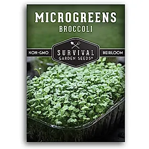 Survival Garden Seeds Broccoli Microgreens for Sprouting and Growing - Seed to Sprout Green Leafy Micro Vegetable Plants Indoors - Grow Your Own Mini Windowsill Garden - Non-GMO Heirloom Variety