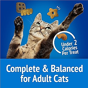 Purina Friskies Cat Treats, Party Mix Beachside Crunch - 20 oz. Pouch
