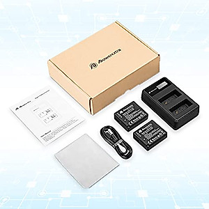 Powerextra 2 Pack DMW-BLG10 Battery and Dual USB Charger for Panasonic DC-G100, DC-ZS80, DC-GX9, DC-LX100 II, DC-ZS200, DC-ZS70, DMC-GX80, DMC-GX85, DMC-ZS60, DMC-ZS100, DMC-GF6, DMC-GX7K, DMC-LX100K