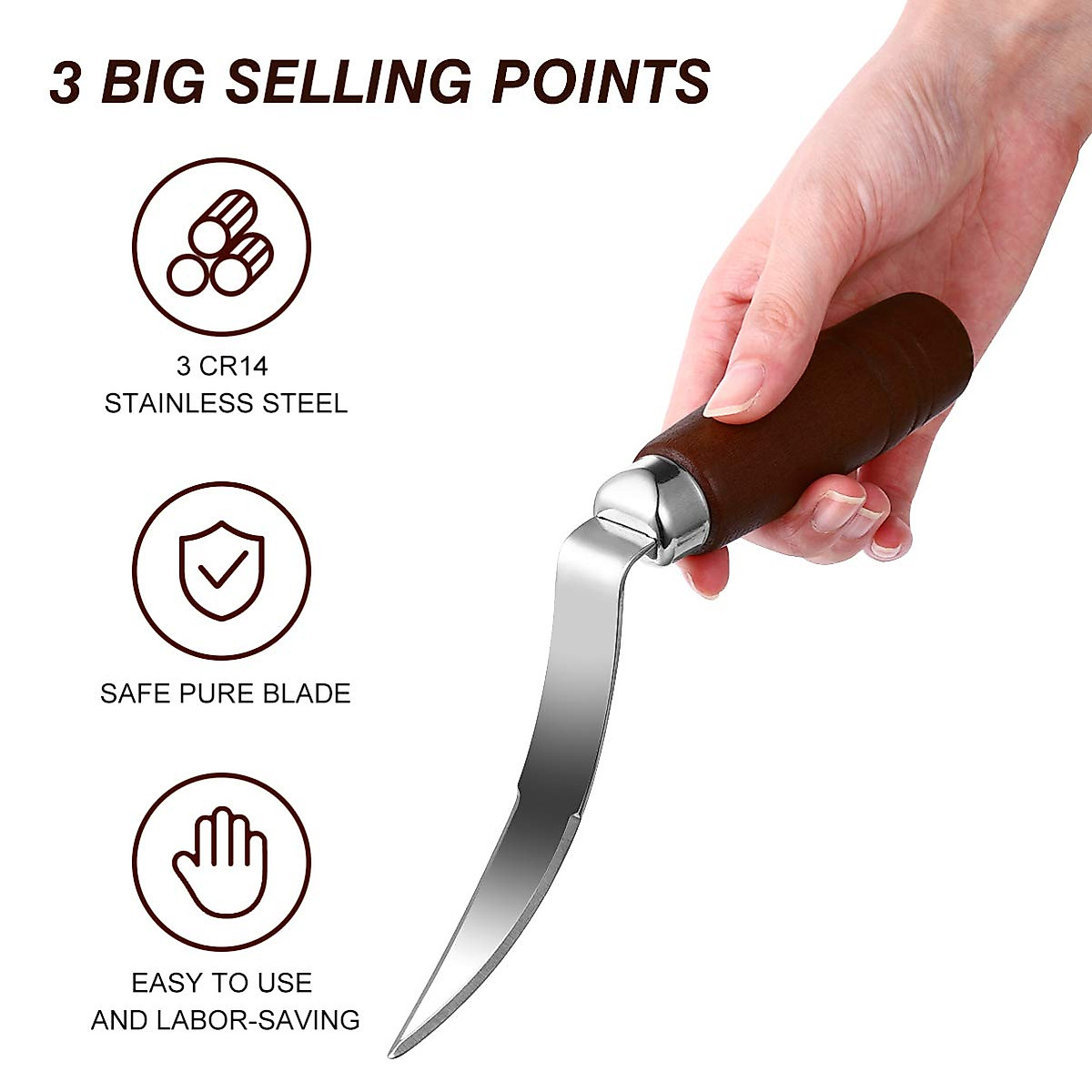 UPKOCH 1PC Coconut Tool Coconut Meat Remover Durable Wooden Handle Stainless Steel Coconut Opener Scraper Knife for Kitchen Home