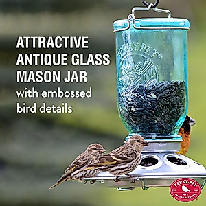 Perky-Pet 784 Mason Jar Wild Bird Feeder, No Size, Blue
