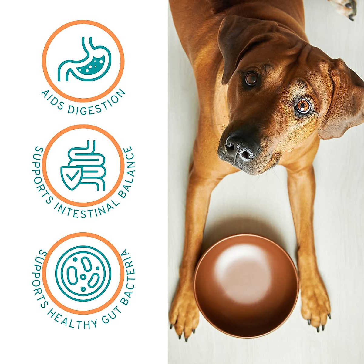 PET CARE Sciences Approx 120 Servings of Dog Probiotic Powder - Dog Probiotics and Digestive Enzymes - Enzyme Supplement for Dogs - Dog Digestive Support - Made in The USA