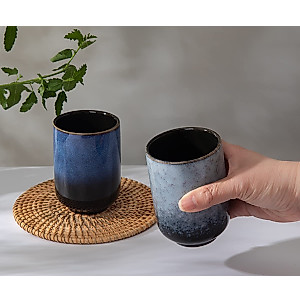 LLDAYU Japanese Sushi Yunomi Tea Cups Set of 2, Handle-less Ceramic Tea cups,10oz/300mL