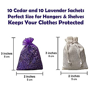 Cedar Chips and Lavender Sachets (20 Pack) - Stop Clothes Damage - Cedar and Lavendar Home Fragrance Sachets for Drawers and Closets