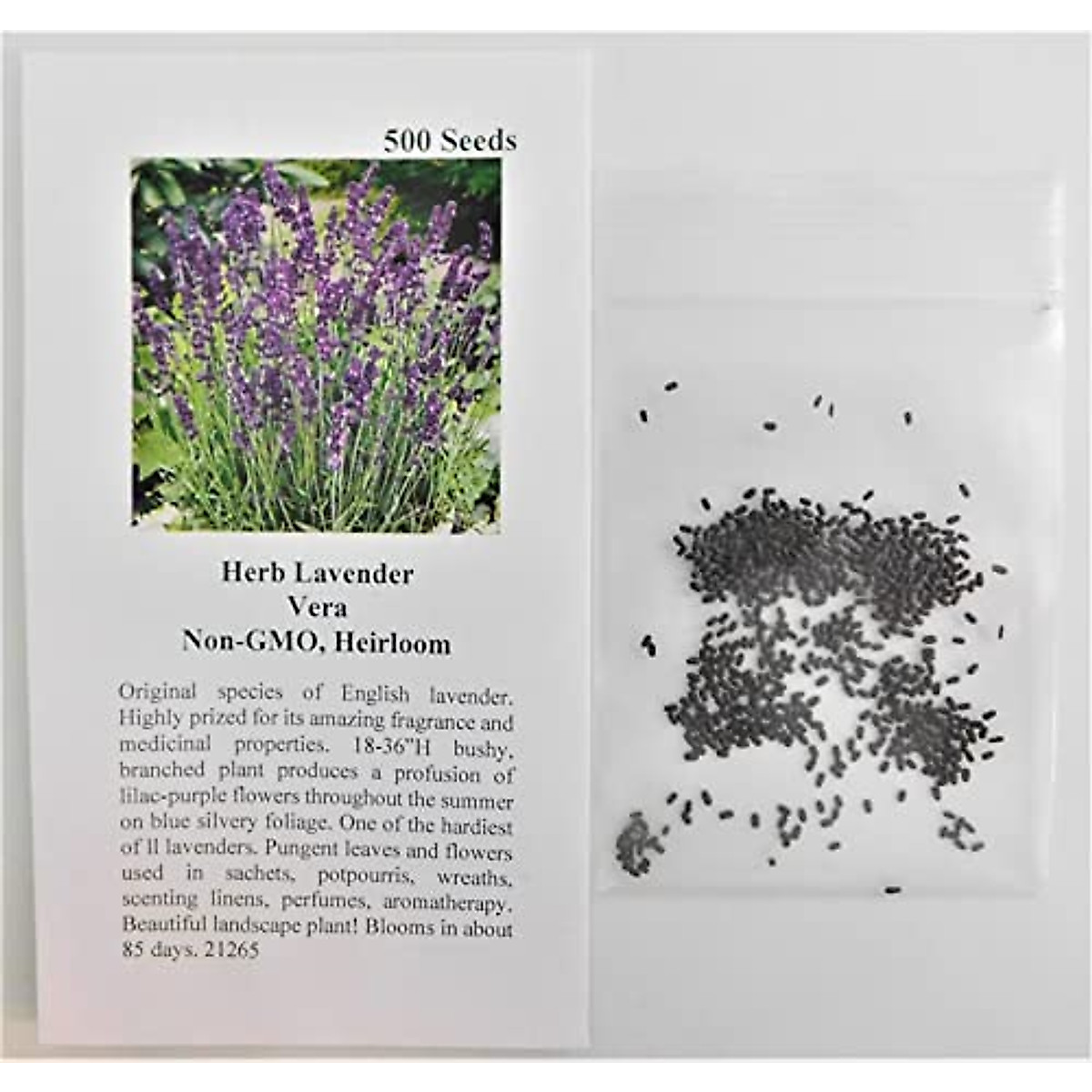 David's Garden Seeds Herb Lavender Vera 1199 (Purple) 200 Non-GMO, Heirloom Seeds