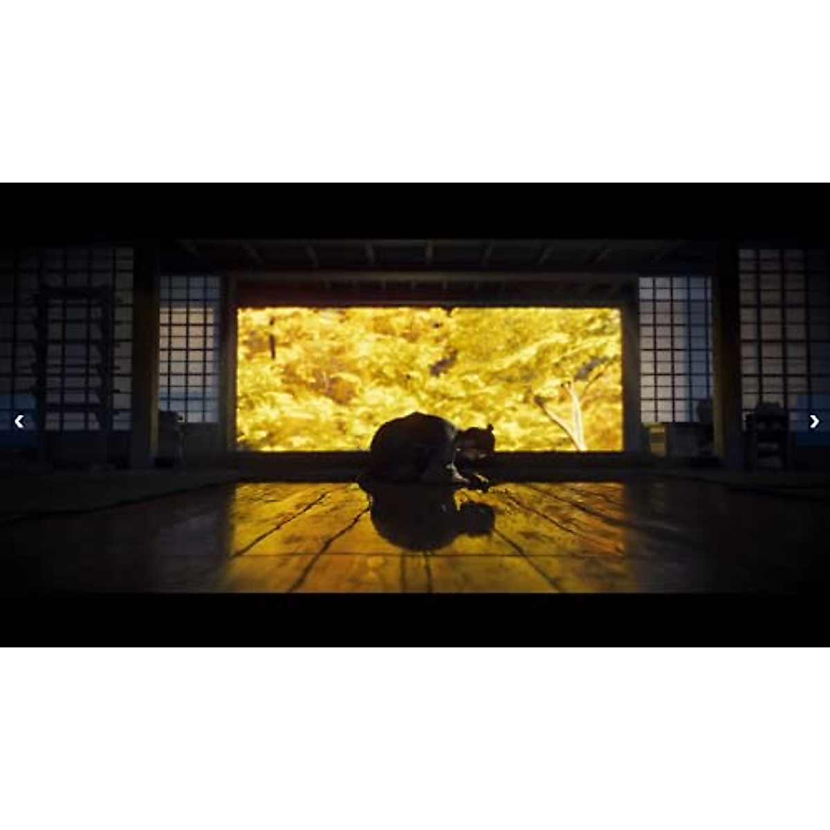 Ghost Of Tsushima: Directors Cut for PlayStation 5 [PS5] (PS5)