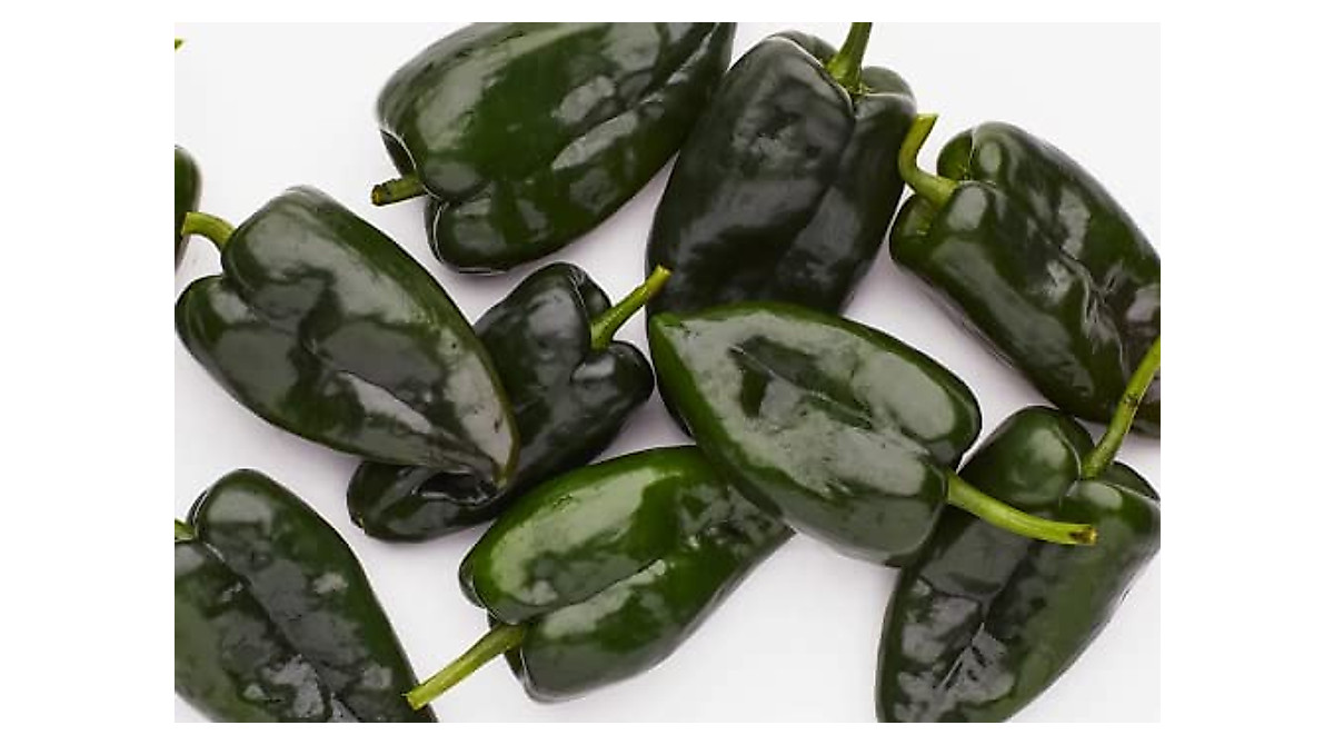 Poblano Ancho Grande Hot Chile Pepper Seeds - Non-GMO