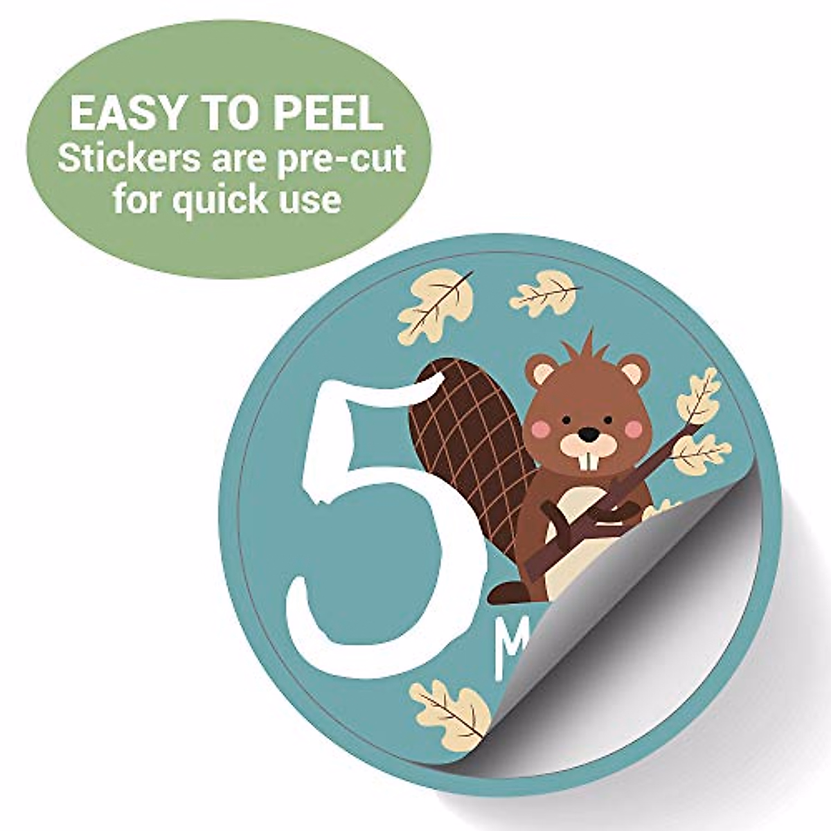Baby Monthly Stickers | Woodland Creatures Baby Milestone Stickers | Newborn Boy or Girl Animal Stickers | Month Stickers for Baby Boy | Gender Neutral | Unisex Monthly Milestone Stickers (Set of 24)