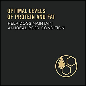 Purina Pro Plan High Protein Dog Food With Probiotics for Dogs, Shredded Blend Beef & Rice Formula - 47 lb. Bag