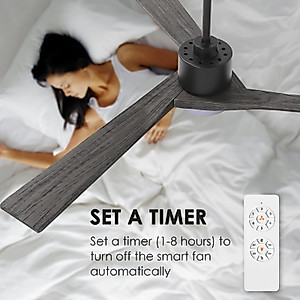 WINGBO 64" DC Ceiling Fan with Lights, 3 Reversible Solid Wood Blades, 6-Speed Noiseless DC Motor, Matte Black Finish Ceiling Fan with Remote, Gray