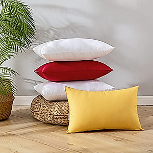 EMEMA 1 Piece Outdoor Pillow Inserts Waterproof Throw Pillow Premium Fluffy Decorative Cushion Rectangle Inner Soft for Patio Furniture Garden Sleeping Bed Couch Sofa Bedroom 12x20 Inch 30x50 cm