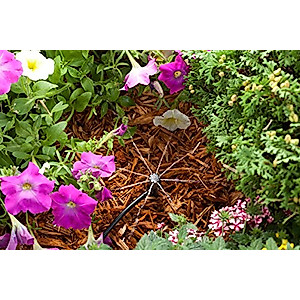 Rain Bird MBF4PKS Drip Irrigation Micro-Bubbler on Stake, 360° Full Circle Pattern, 0 - 3' Spray Distance, 4-Pack,Black