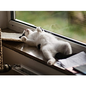 MY LUCKY PETS LLC just Relax for Cats - Advanced Relaxant for Cats - Calms Down Your CAT - Anxiety Relief Complex - Pure Valerian Root for Cats - 1 Bottle (90 Chewable Tablets)