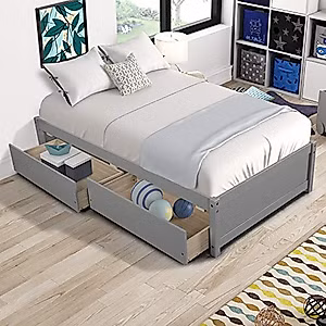Twin Size Platform Bed with 2 Storage Drawers,Twin Bed Frame with Storage, Solid Wood Daybed with No Headboard for Kids Teen Grils Boys,Easy Assembly (Gray)