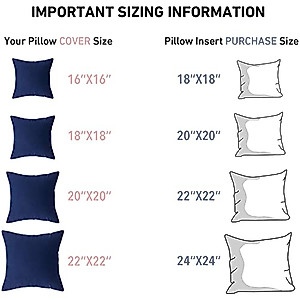 Leeden 20 x 20 Pillow Inserts (Set of 2) - Throw Pillow Inserts with 100% Cotton Cover - 20 Inch Square Interior Sofa Pillow Inserts - Decorative Pillow Insert Pair - White Couch Pillow