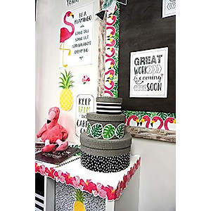 CTP Flamingos EZ Border Bulletin Board Border for Classroom (Creative Teaching Press 10486), 48 ft per Package