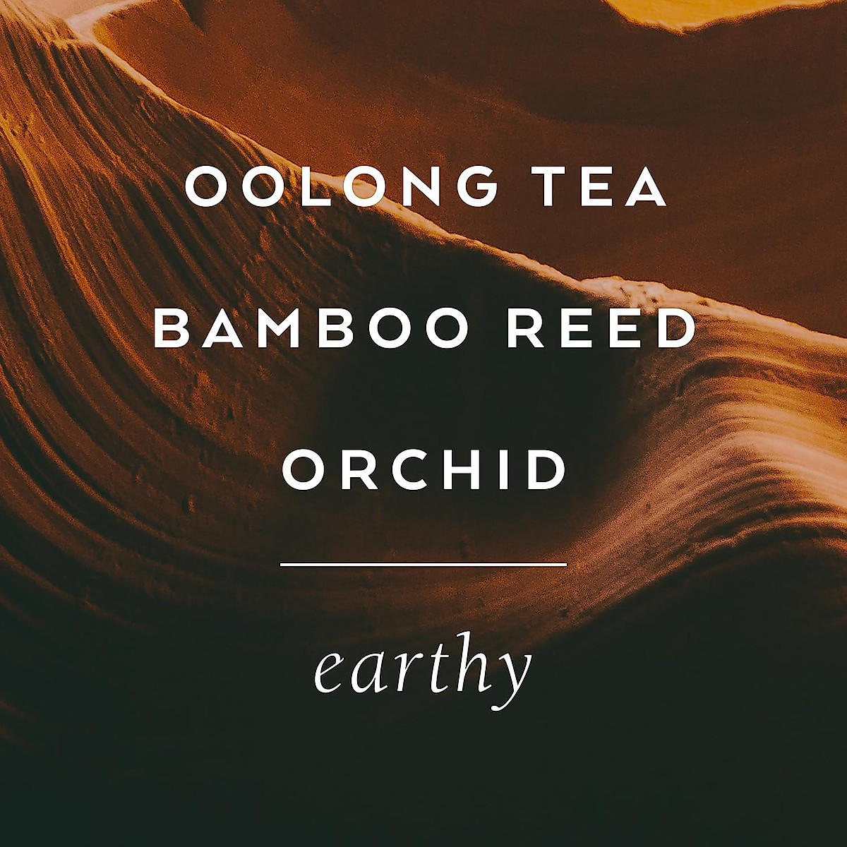 TOKYOMILK Light And Soul Eau de Parfum | A Transcendent, Delicate Perfume | Enticing Fragrance Notes Form a Refreshing, Sensory Experience | 1.6 fl oz / 47.3 ml