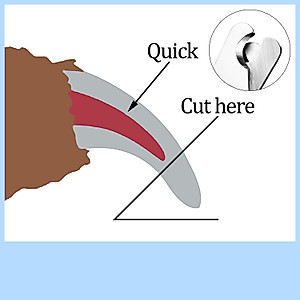 Mudder 4 Pieces Dog Nail Clippers Kit Dog Cat Pets Nail Clippers and Trimmers with Safety Guard to Avoid Over Cutting and Nail File for Large and Small Animals (Blue and White)