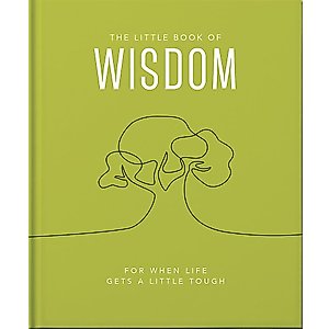 The Little Book of Wisdom: For when life gets a little tough (Little Books of Wellbeing)