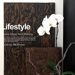 Aibote Technology Art Totem Black Walnut Burl Wood Veneer Sheet(60x250CM) Furniture Restoration Sheets for Loudspeaker Speaker Showcase Cabinets Table Shelves Kitchen Furniture Hotel