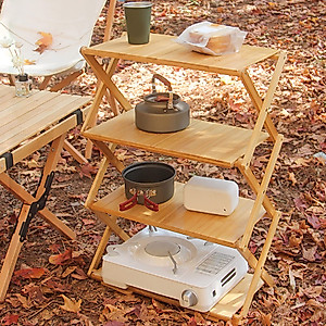 Rosvola Foldable Wood Rack, Strong Bearing Capacity Wide Applications Camping Portable Folding Shelf for Outdoor (4 Layers)