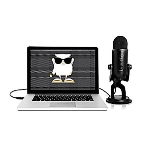 Blue Microphones Yeti (Blackout) Professional Multi-Pattern USB Microphone Bundle with Pop Filter (2 Items)