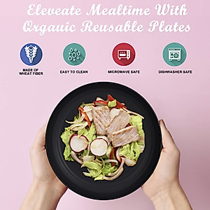 Wrova Wheat Straw Plates - 9 Inch Unbreakable Dinner Plates Set of 8 - Dishwasher & Microwave Safe Plastic Plates Reusable - Lightweight Plates for kitchen,camping (Classic Series)