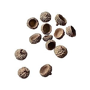 SM SunniMix 100x Natural Acorns Real Rustic Acorns Caps Decorative Vase Fillers Home DIY Thanksgiving Christmas Kitchen Autumn Table Scatter Photo Props Decors - Natural Acorn Caps