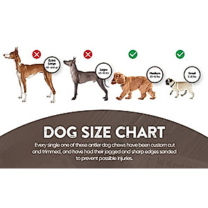 WhiteTail Naturals | 3 Pack Medium | Deer Antler Dog Chews | All Natural Organic Antlers for Dogs | Long Lasting Antler Bones for Dogs | Durable Antler Dog Toy