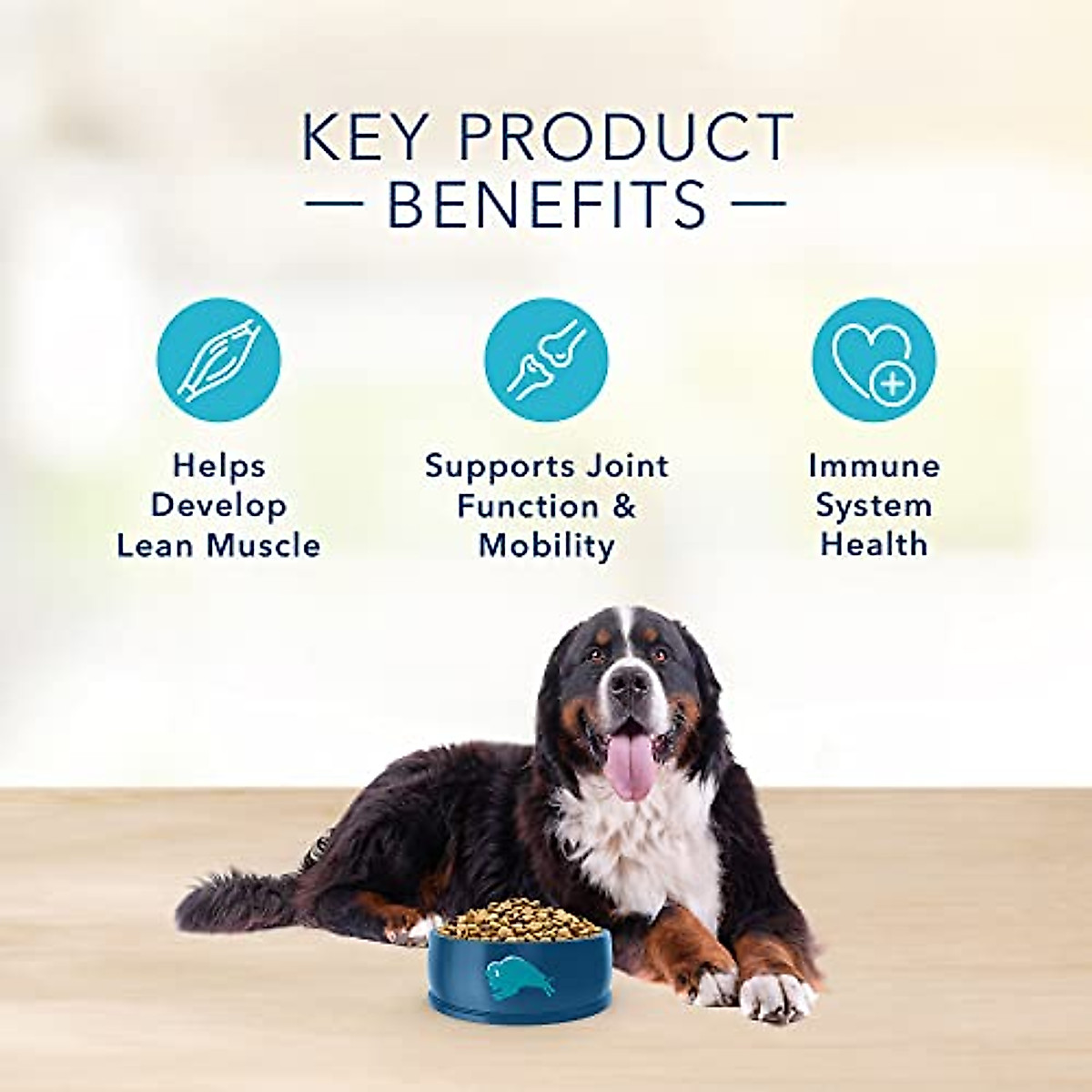 Blue Buffalo Basics Skin & Stomach Care, Natural Adult Large Breed Dry Dog Food, Turkey & Potato 24-lb