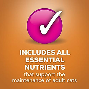 Purina Friskies Gravy Wet Cat Food, Shreds With Chicken - (24) 5.5 oz. Cans