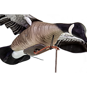 Higdon Outdoors Clone Canada Goose Flapping Motion Decoy with Adjustable Wing Speed
