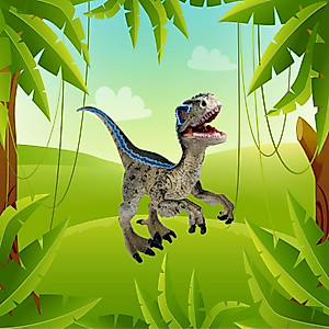 Momoplay Velociraptor Toy, Velociraptor Dinosaur Action Figure, Birthday Cake Toppers, Party Favors, Gifts, Room Decoration for Kids 3-12 Years Old