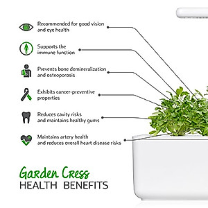 Click and Grow Smart Garden Garden Cress Plant Pods, 3-pack